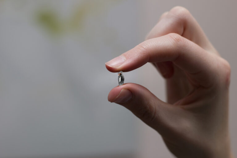 EARLENS | Fairfax Hearing Center